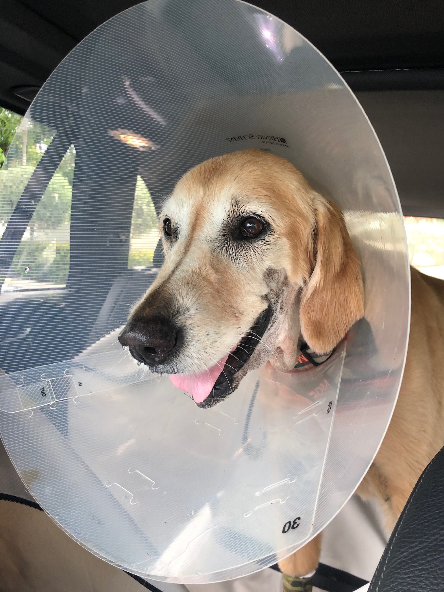Food IS Medicine: Moe’s Cancer Story – Dr. Julia Roach